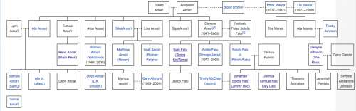 Roman Reigns and his cousins: Meet his incredible family of wrestlers