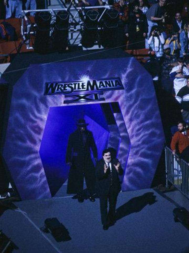 WrestleMania in photographs: 11-20